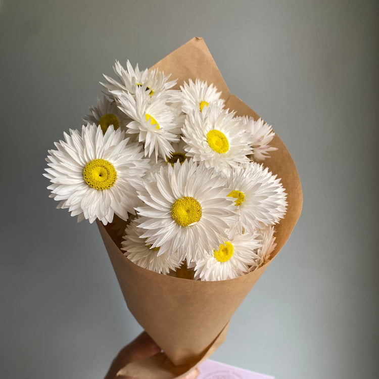How to use your single variety flower bouquets – Everlasting Daisy Florist